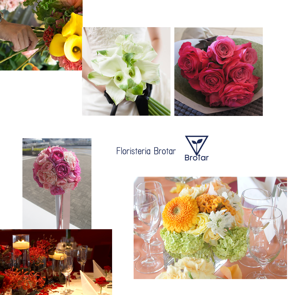 LESSON｜ブロタール Floristeria Brotar｜芦屋 花屋